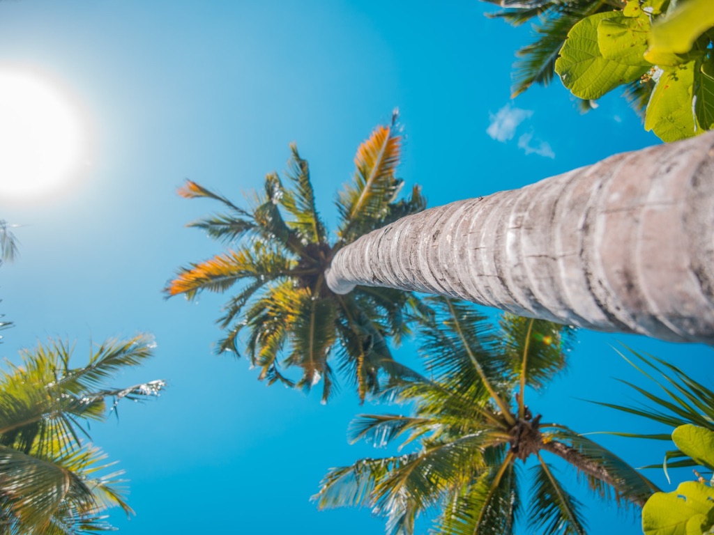 How To Set Your Own Standards - Journey To Growth